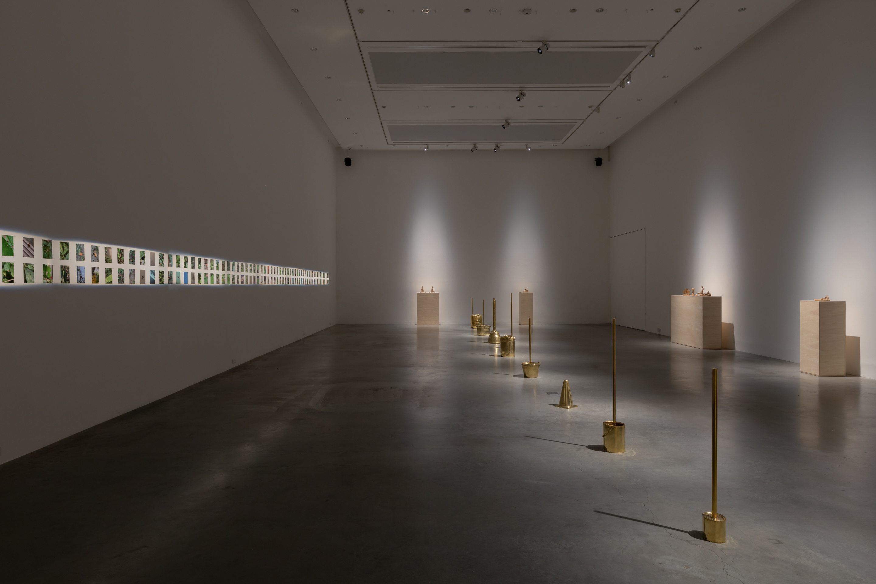 Dusadee Huntrakul Doubles Down on Looking | Ocula